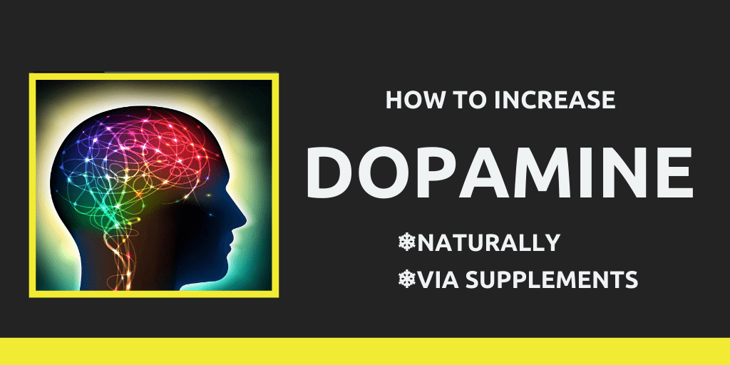 Dopamine: Definition, Functions & Best Dopamine Supplements | DrugsBank