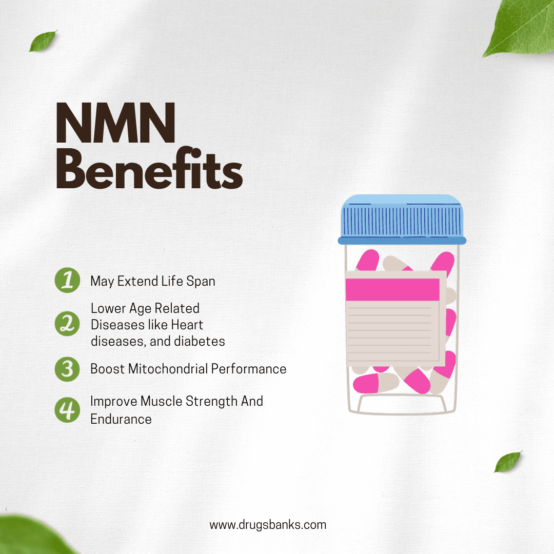 NMN Supplementation Unveiled: Side Effects, Benefits Based On Studies ...