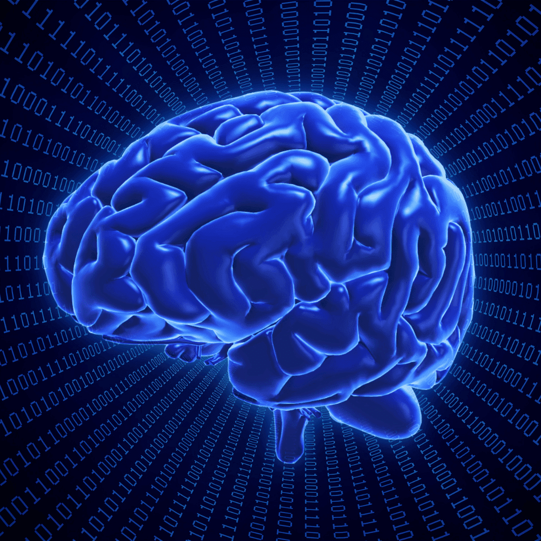 Nootopia World Domination Nootropics Review: Legit Or A Waste? | DrugsBank
