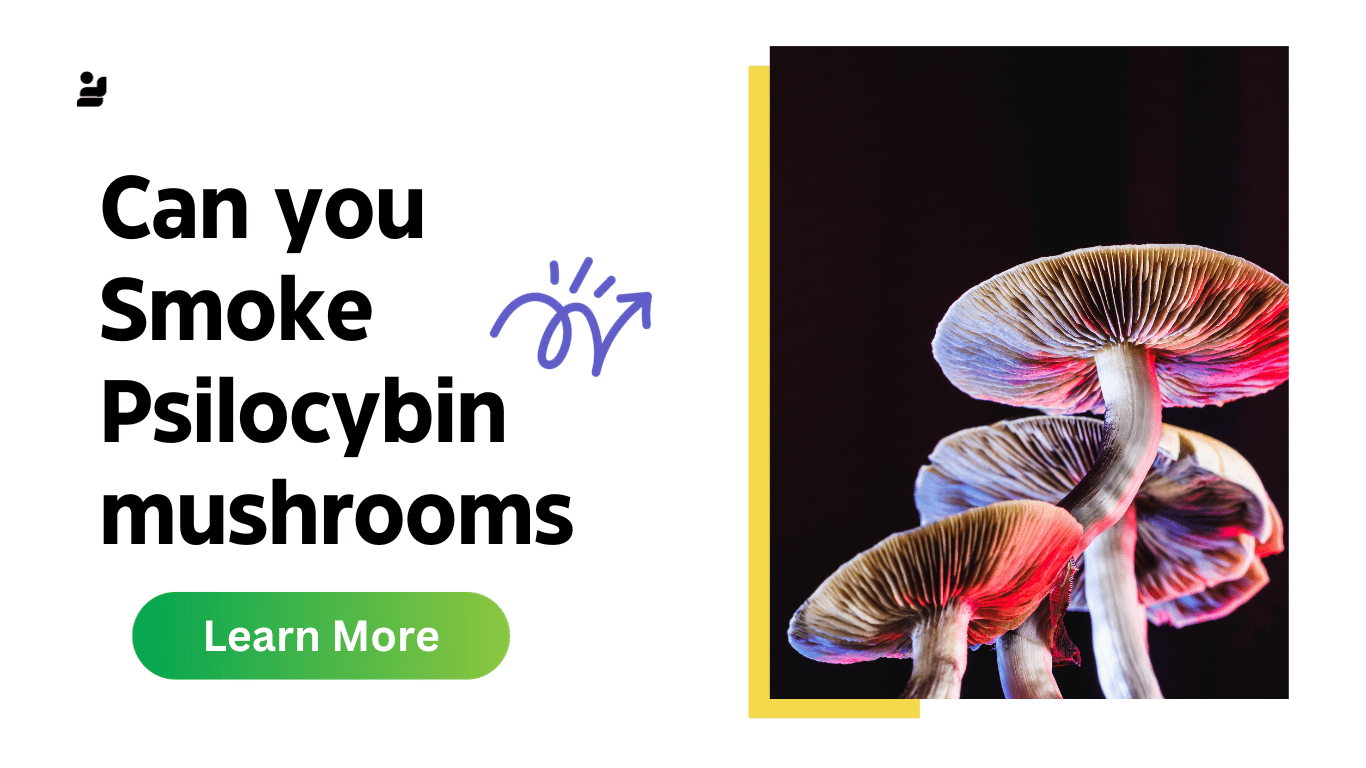 Can You Smoke Psilocybin Mushrooms: Exploring the Risks and Effects ...